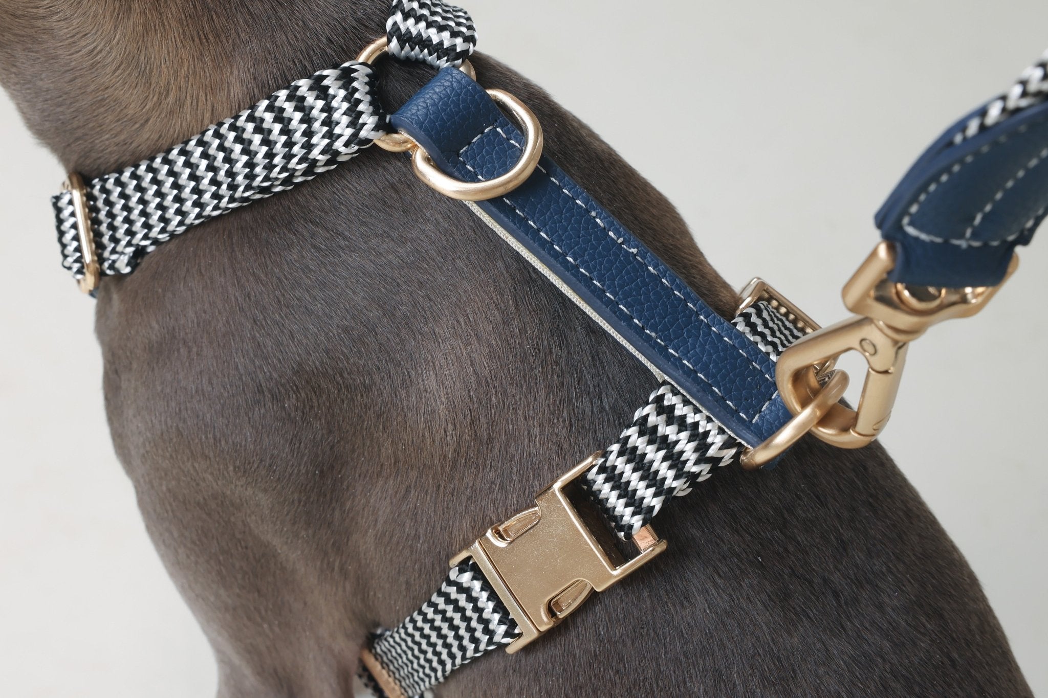 How We Created the Perfect Dog Harness: Leather and Houndstooth Design ...