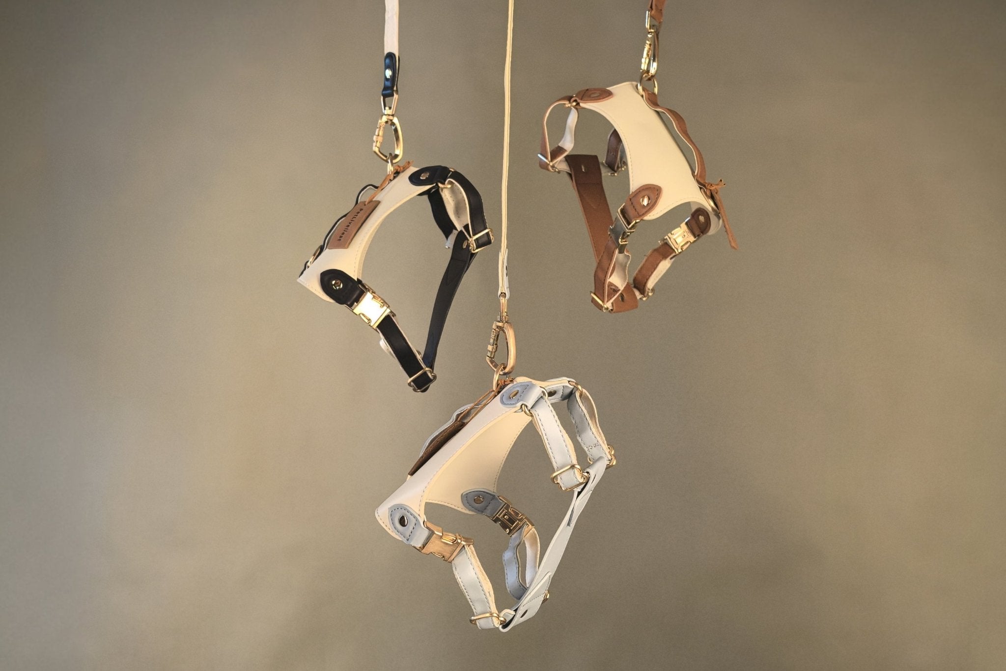 Why the Eques Harness is the Best Dog Harness for Every Adventure ...